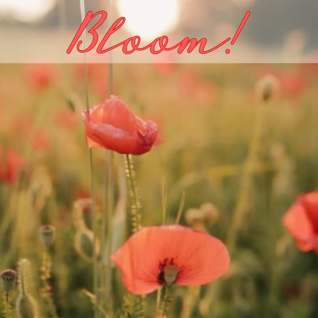 Blossom Into Your Best Self: Empower Your Life with Growth and Self-Care.